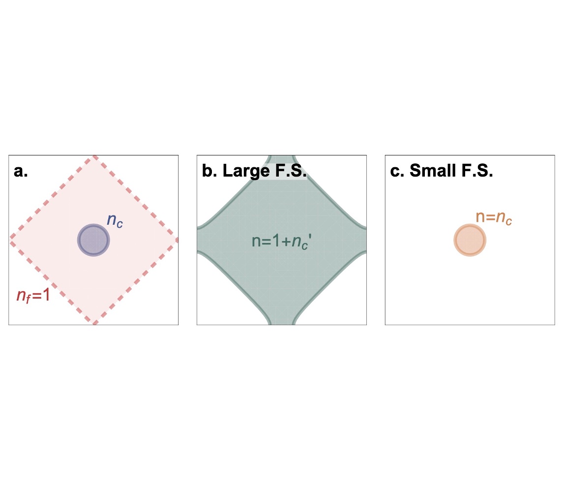 Concealed Mott Criticality: Unifying the Kondo Breakdown and Doped ...